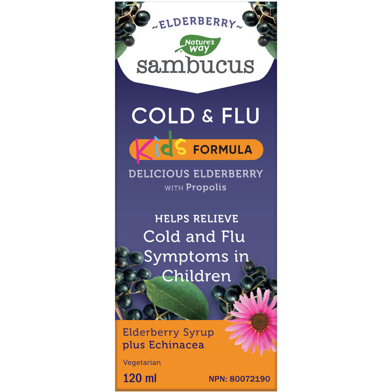 Nature’s Way Kids Sambucus Cold and Flu Care Syrup, Berry Flavour ...
