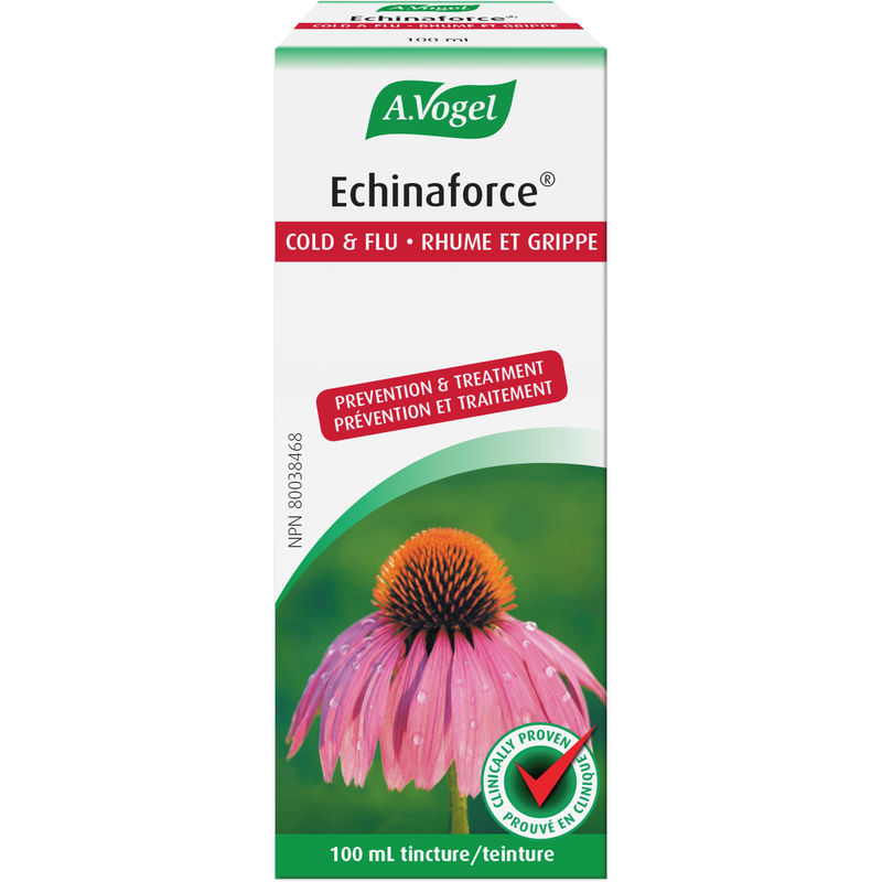 Echinaforce Immune Support for Cold and Flu 100 mL - CTC Health